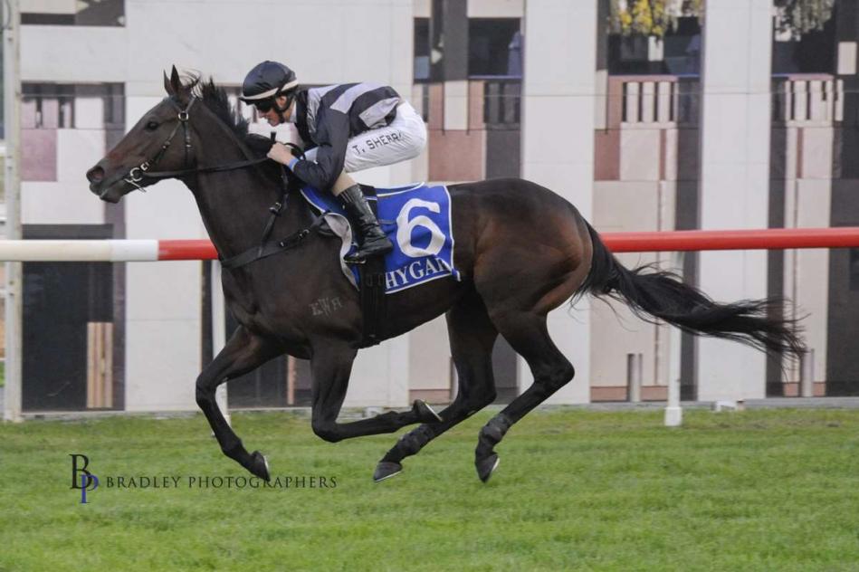 Change in Canberra Racing Club Committee - Thoroughbred Park