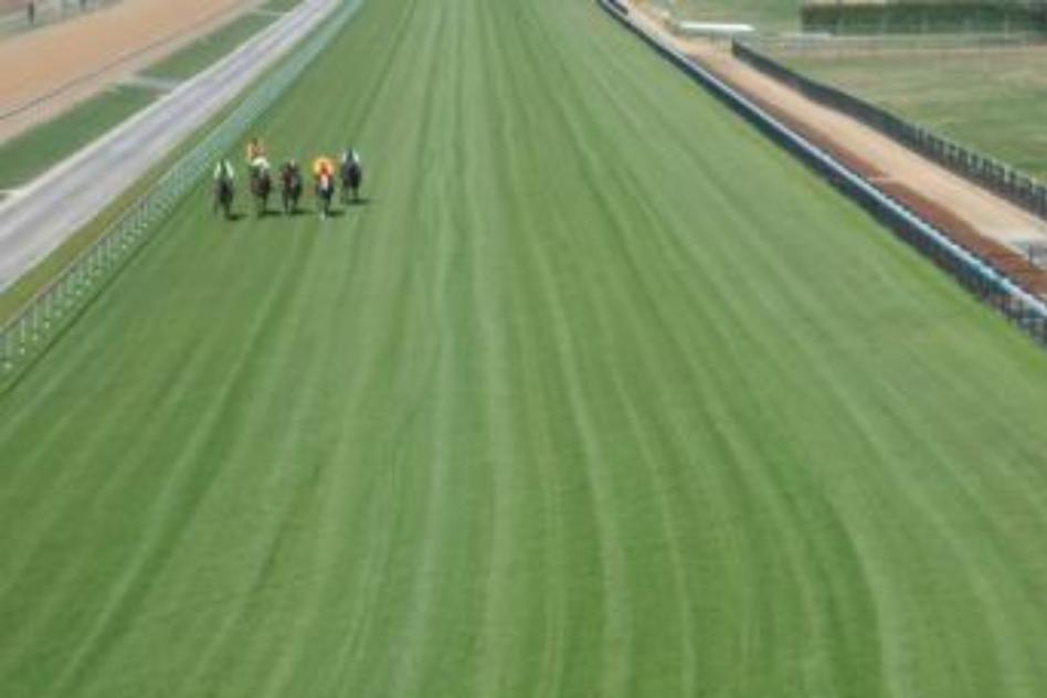 General Racing Information - Thoroughbred Park