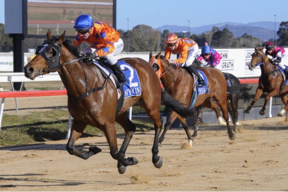 Racing Information - Thoroughbred Park