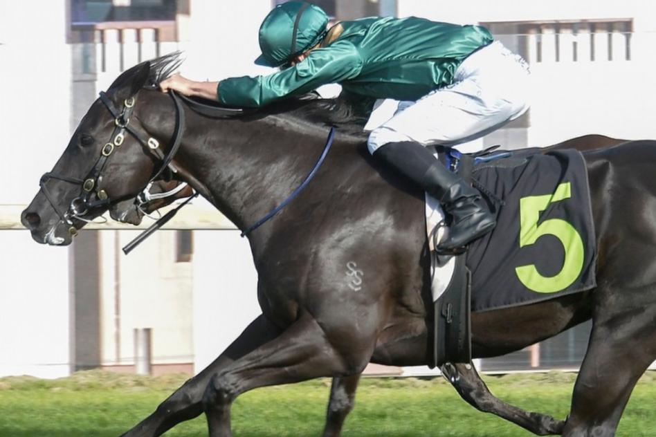 Racing Information - Thoroughbred Park