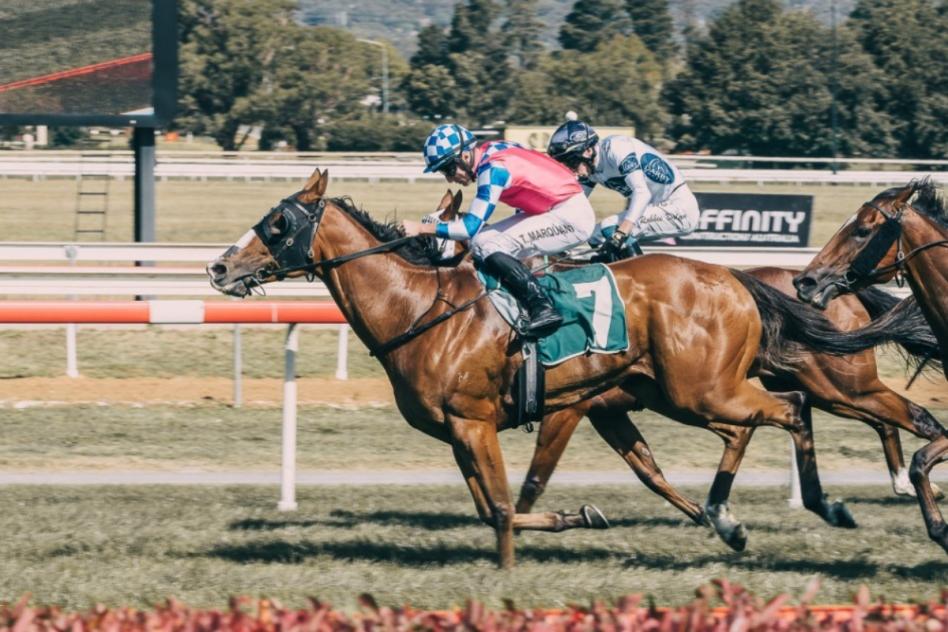 Access to Thoroughbred Park - Thoroughbred Park