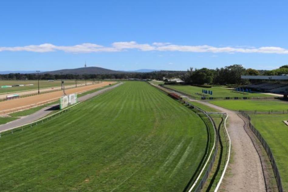 Home of Canberra racing - Thoroughbred Park