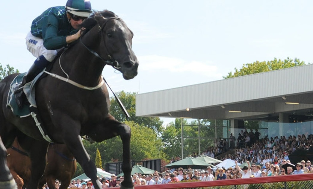 Racing and Sports Canberra Racing Preview Friday 24 January UPDATED ...