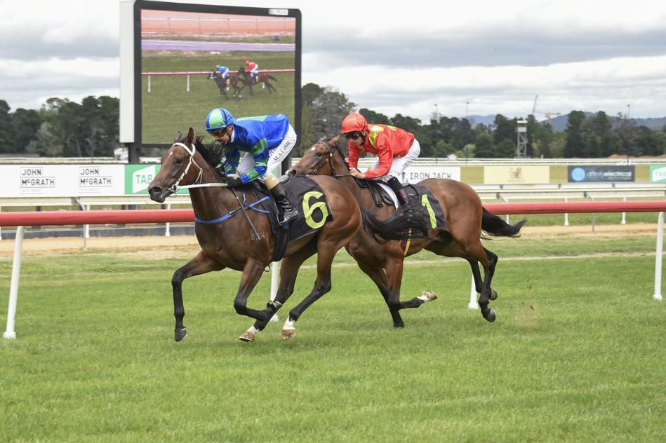 Home of Canberra racing - Thoroughbred Park