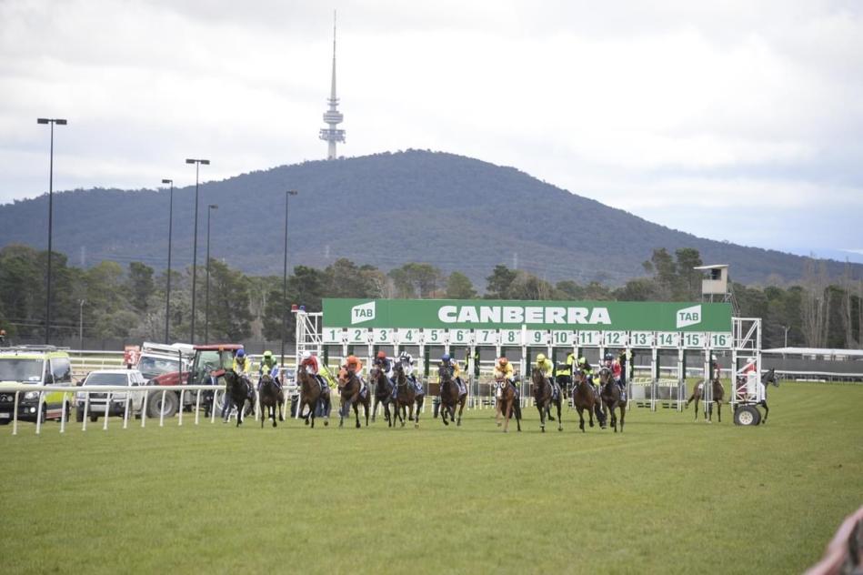 A new team to guide Canberra Racing Club - Thoroughbred Park