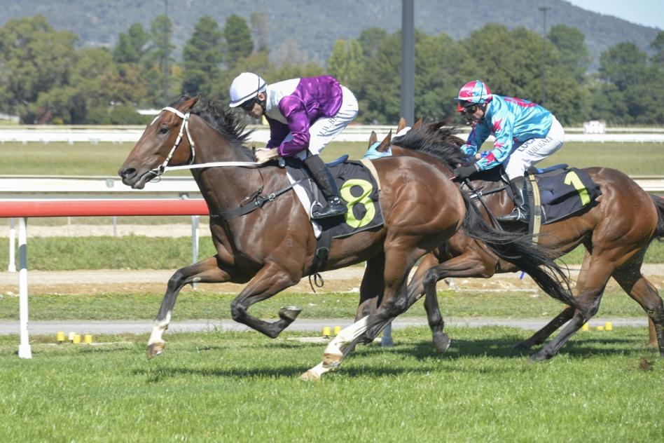 Cracking Canberra Preview by Neil Evans 16 September 2022 ...