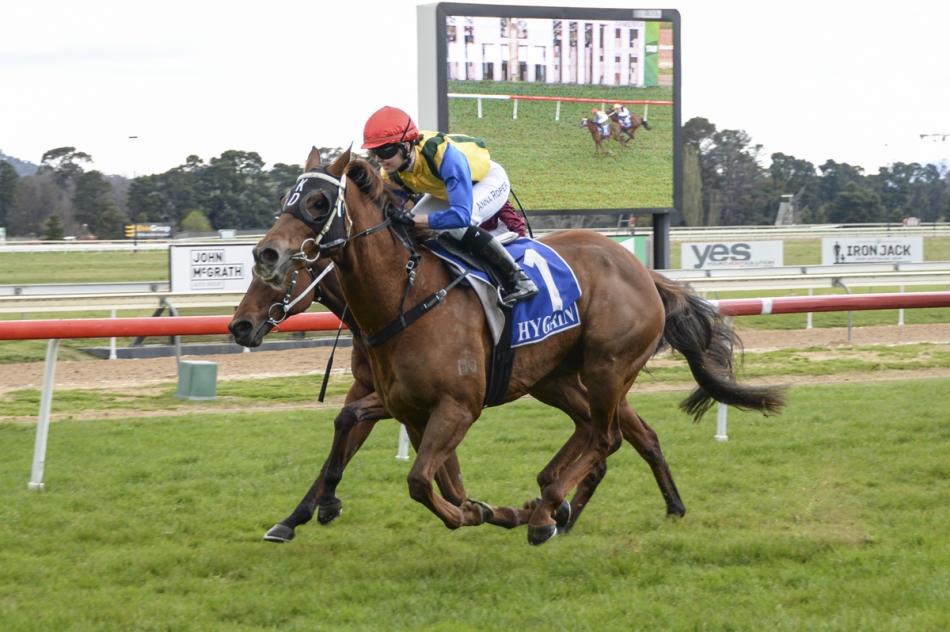 Big Dance bound Dream Runner highlights quality TAB Federal Tony ...