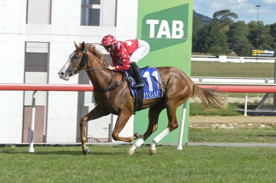 Home of Canberra racing - Thoroughbred Park
