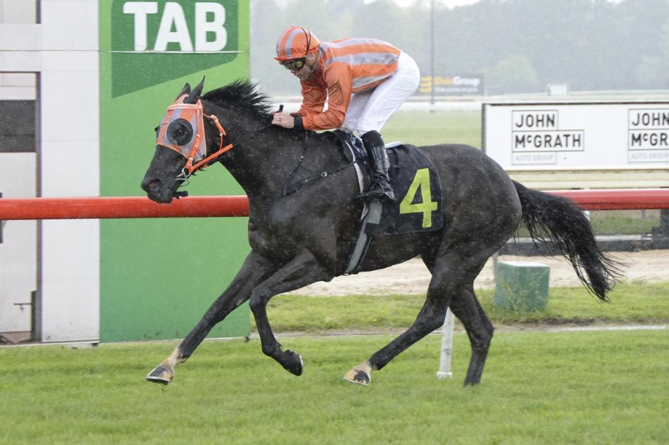 Racing & Sports Canberra Review - 1 November 2022 - Thoroughbred Park