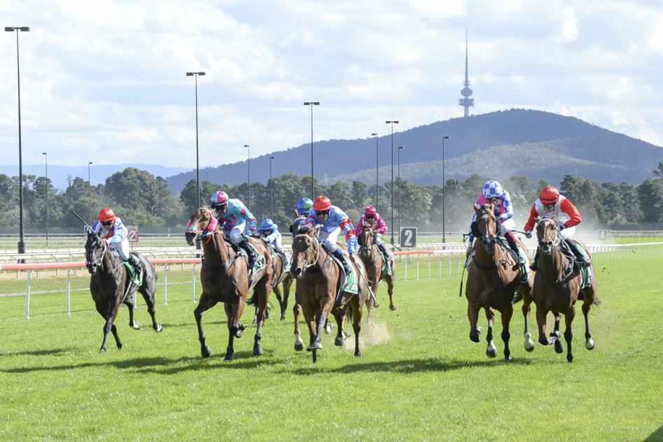 Home of Canberra racing - Thoroughbred Park