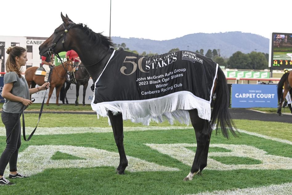 Racing and Sports Canberra Racing Review - 12 March 2023 - Thoroughbred ...