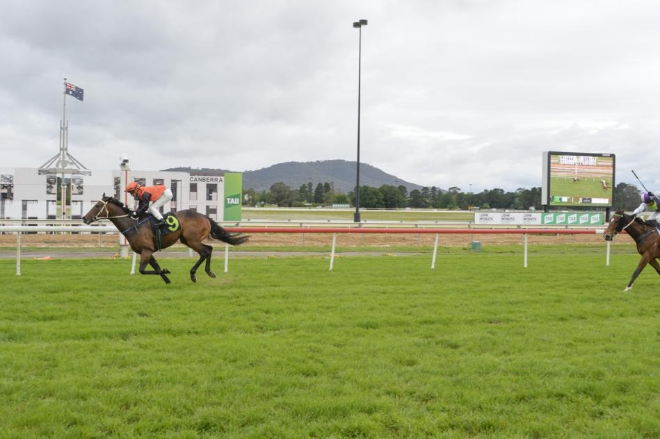 I Call Junee Home hard to beat on her home track - Thoroughbred Park