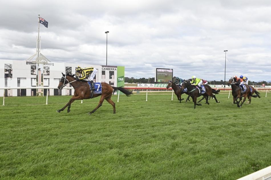 News - Thoroughbred Park