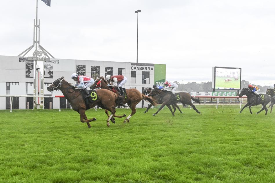 Racing and Sports Canberra Racing Review - 7 April 2023 - Thoroughbred Park