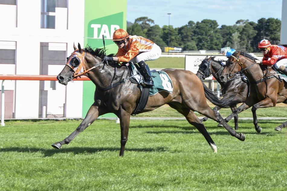 Beau Rock’s rock solid form - Thoroughbred Park