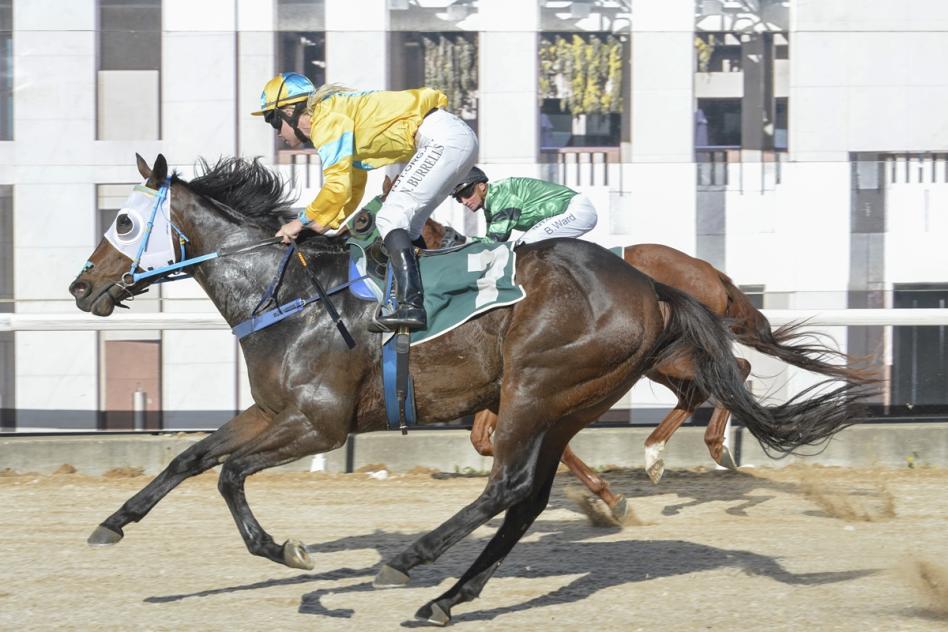 Home of Canberra racing - Thoroughbred Park