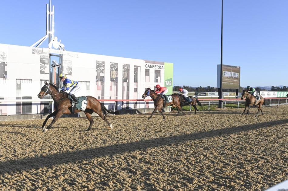 Canberra Racing Club celebrate successful synthetic season ...
