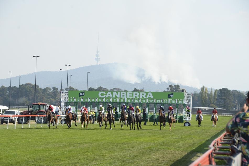 Home of Canberra racing - Thoroughbred Park